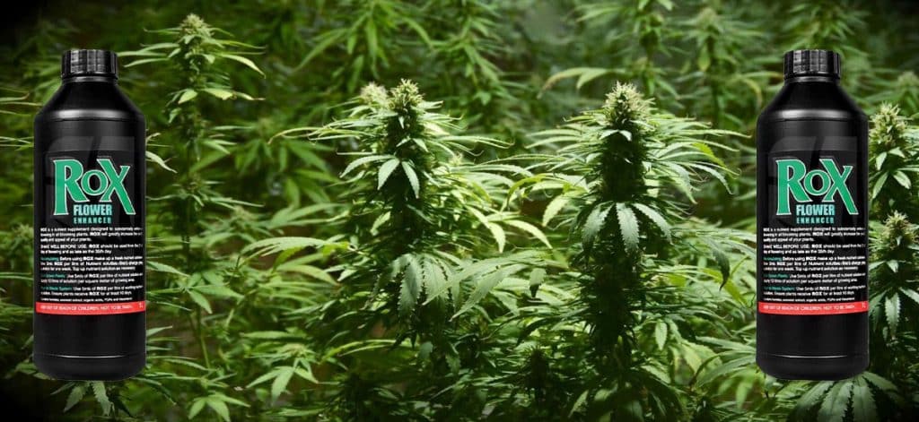 Que es ROX y como se usa | The Back Garden Grow Shop Murcia