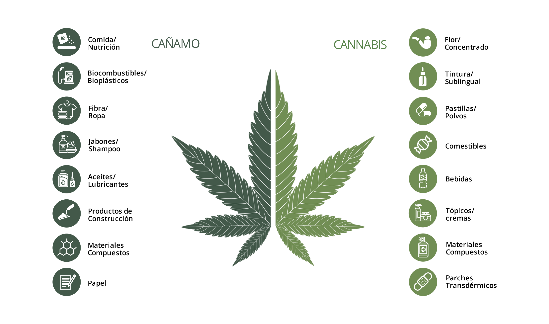 ¿Qué es el cáñamo? | The Back Garden Grow Shop