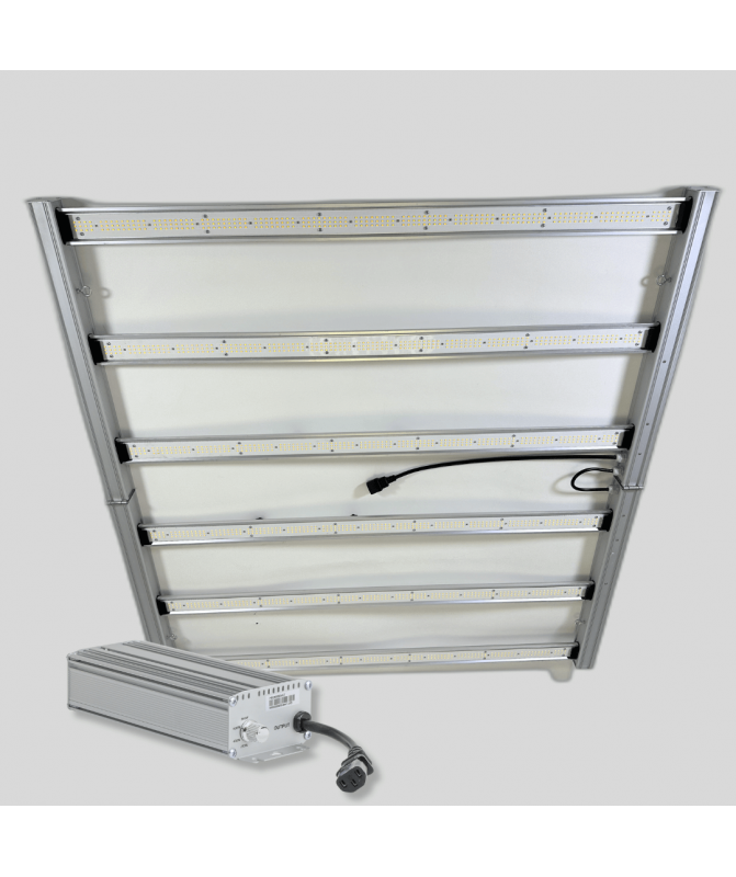 LED Master King 720w con Balastro Vanguard | Grow Shop Online
